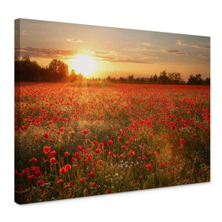 Tableaux sur toile | wall-art.fr