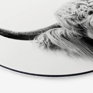 Poster Sisi & Seb - Bull | wall-art.nl