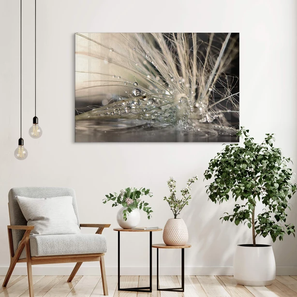 Acrylglas Wandbilder Natur | wall-art.de