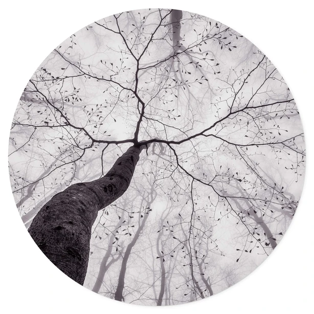 Wandtattoo Baum & Ranken | wall-art.de