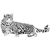 Wandtattoo Leopard liegend - mit dem eleganten Leoparden schafft man ...