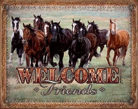 Metallbild WELCOME - HORSES - Friends (40x31,5 cm) | wall-art.de