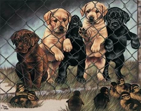 Metallbild GRAHAM - Jail Birds (40x31,5 cm) | wall-art.de