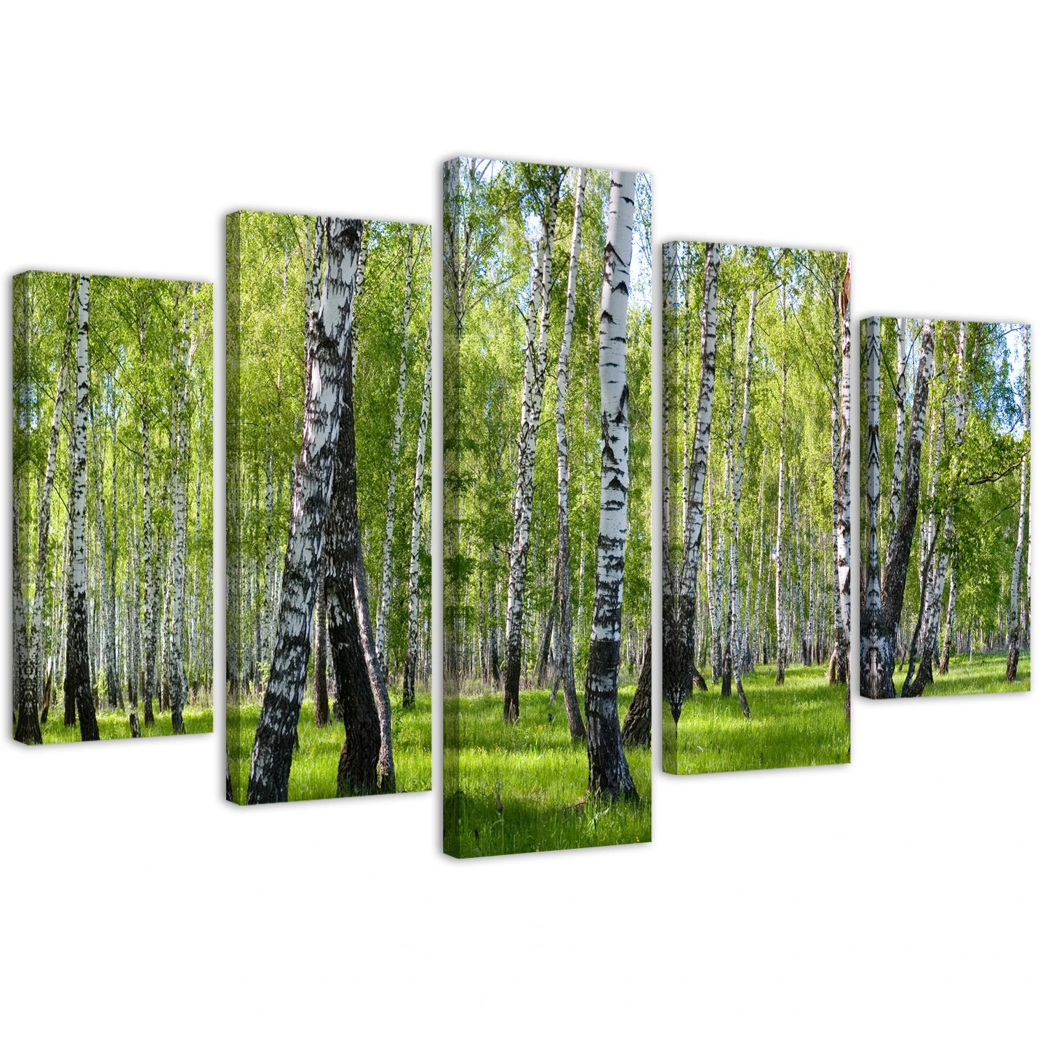 Leinwandbild 5 Teilig