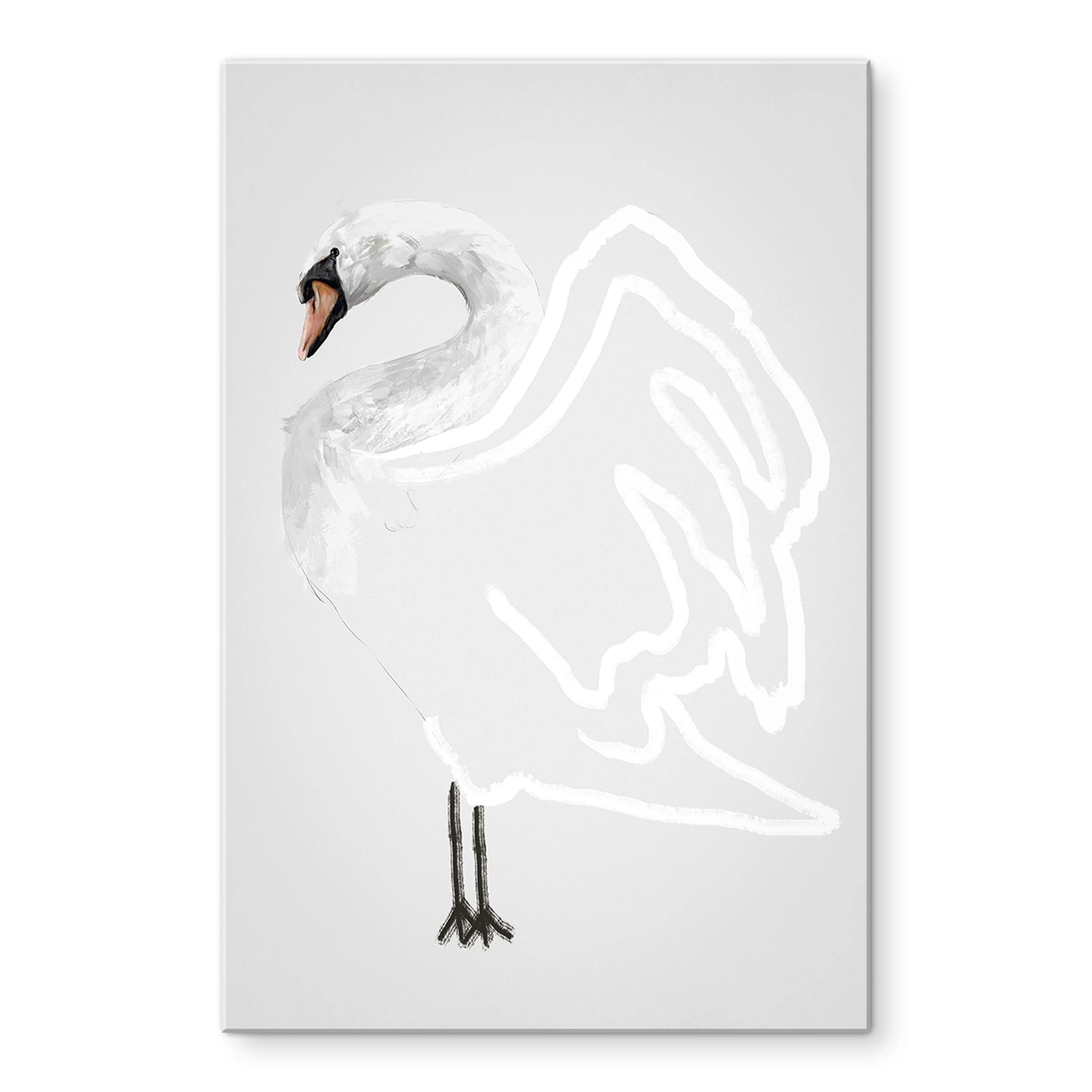 Acrylglasbild Schwan Illustration - Roberg | wall-art.de