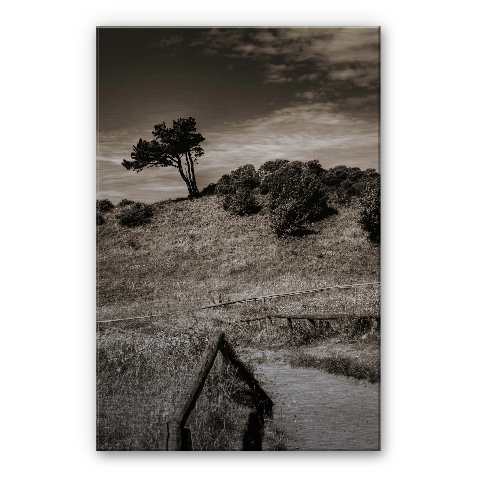 Alu-Dibond mit Silbereffekt - Landschaft auf Hiddensee von K&L Wall Art ...