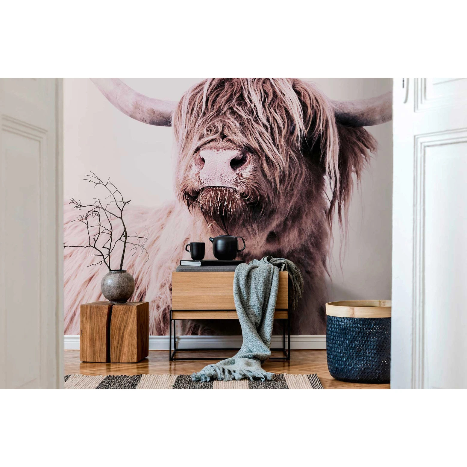 Faszinierend Fototapete Highland Rind Bilder