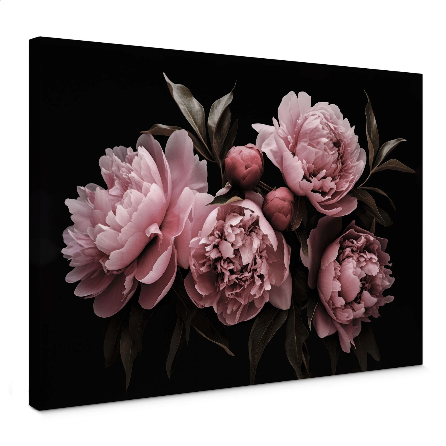 Leinwandbild Pfingstrose rosé - Haase | wall-art.de