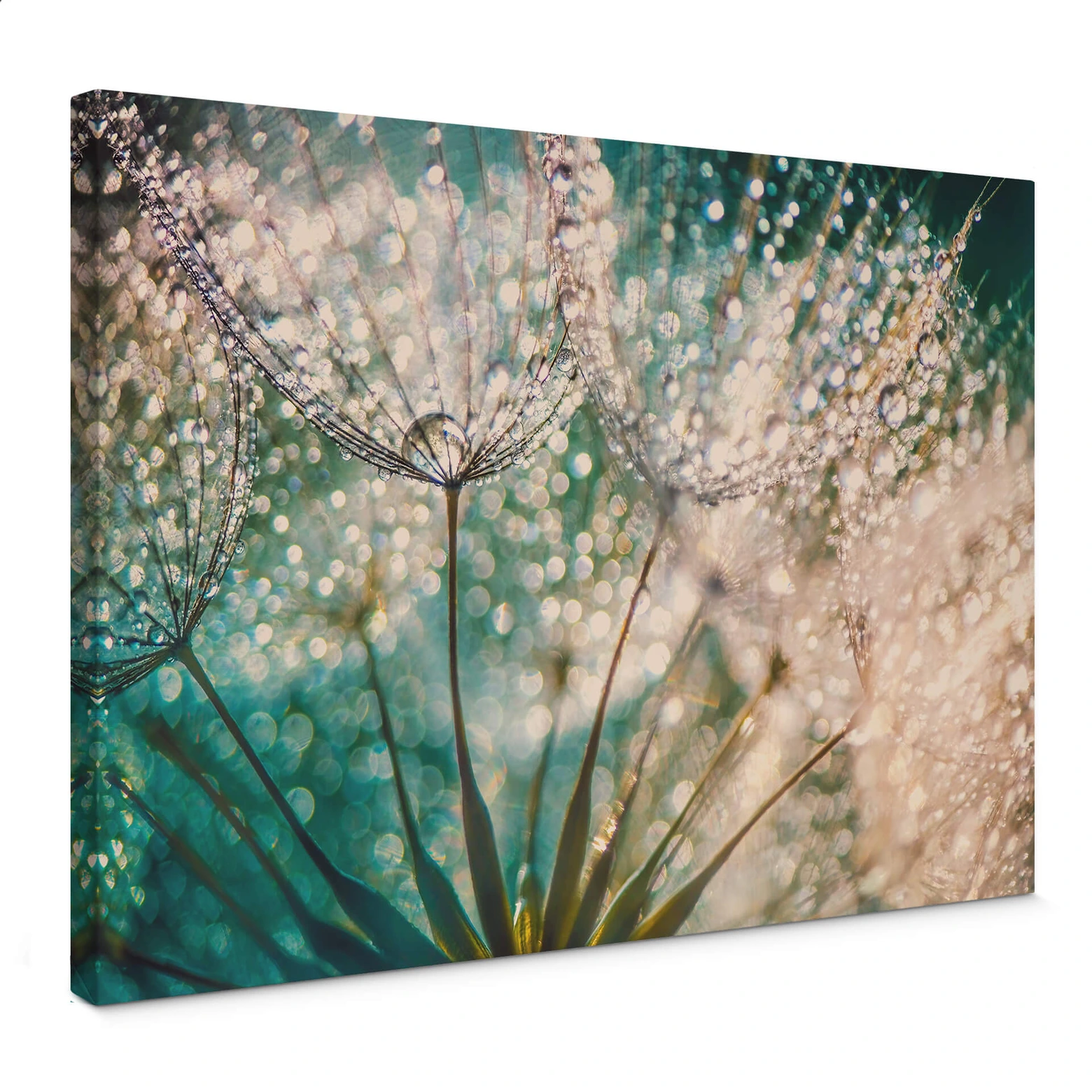 Canvas Delgado - Glittery Dandelions | wall-art.nl