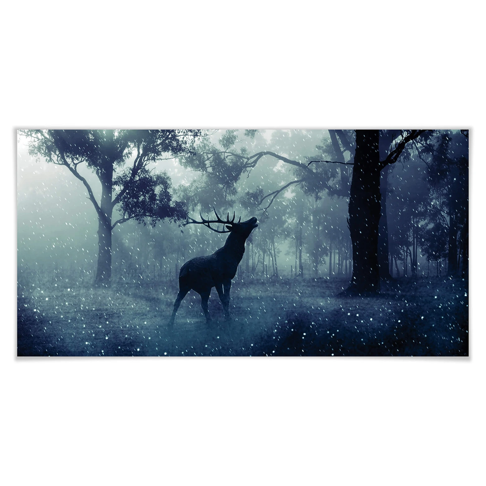 Poster Hert in het Bos - Panorama | wall-art.nl