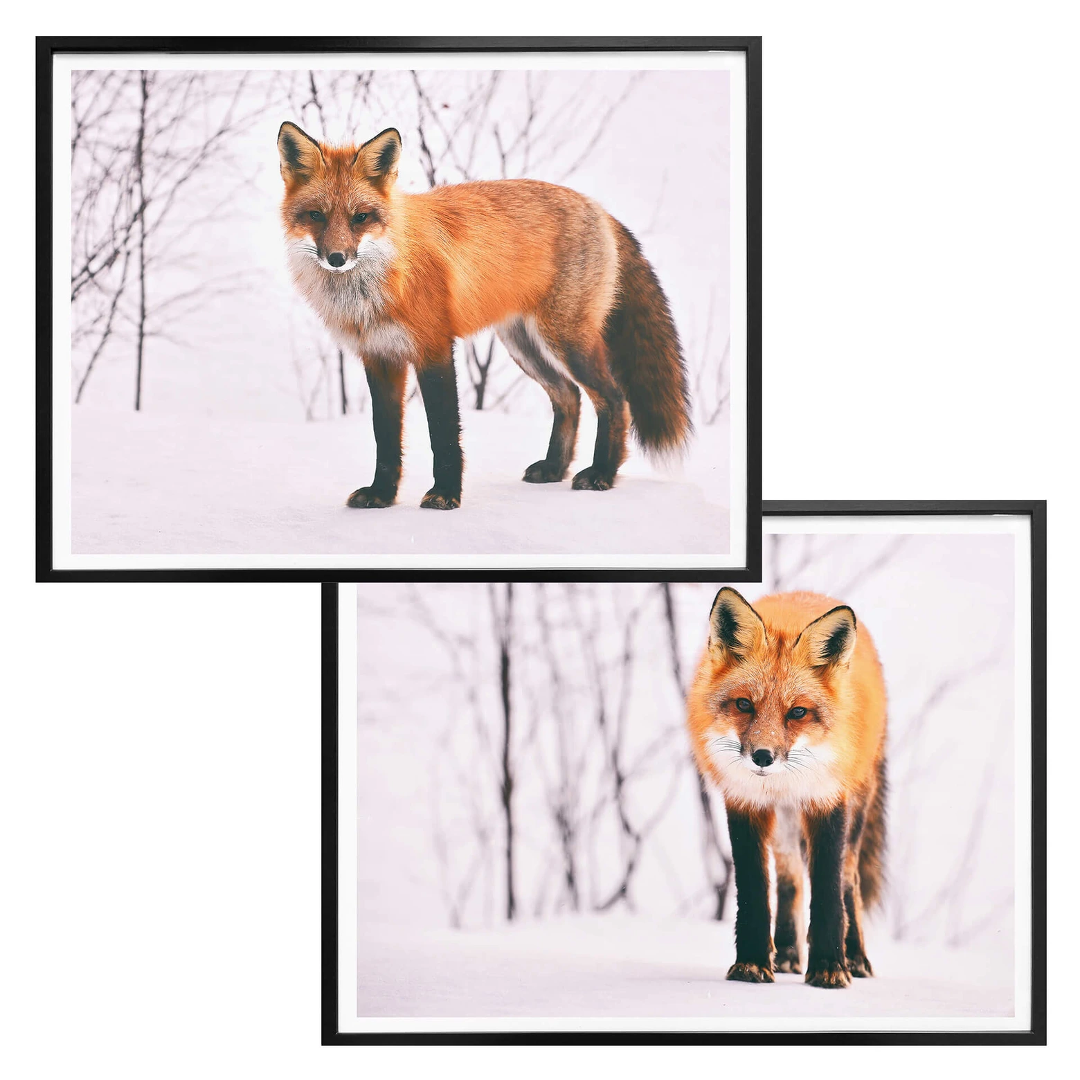 Poster Renard dans la neige - 2 parties | wall-art.fr