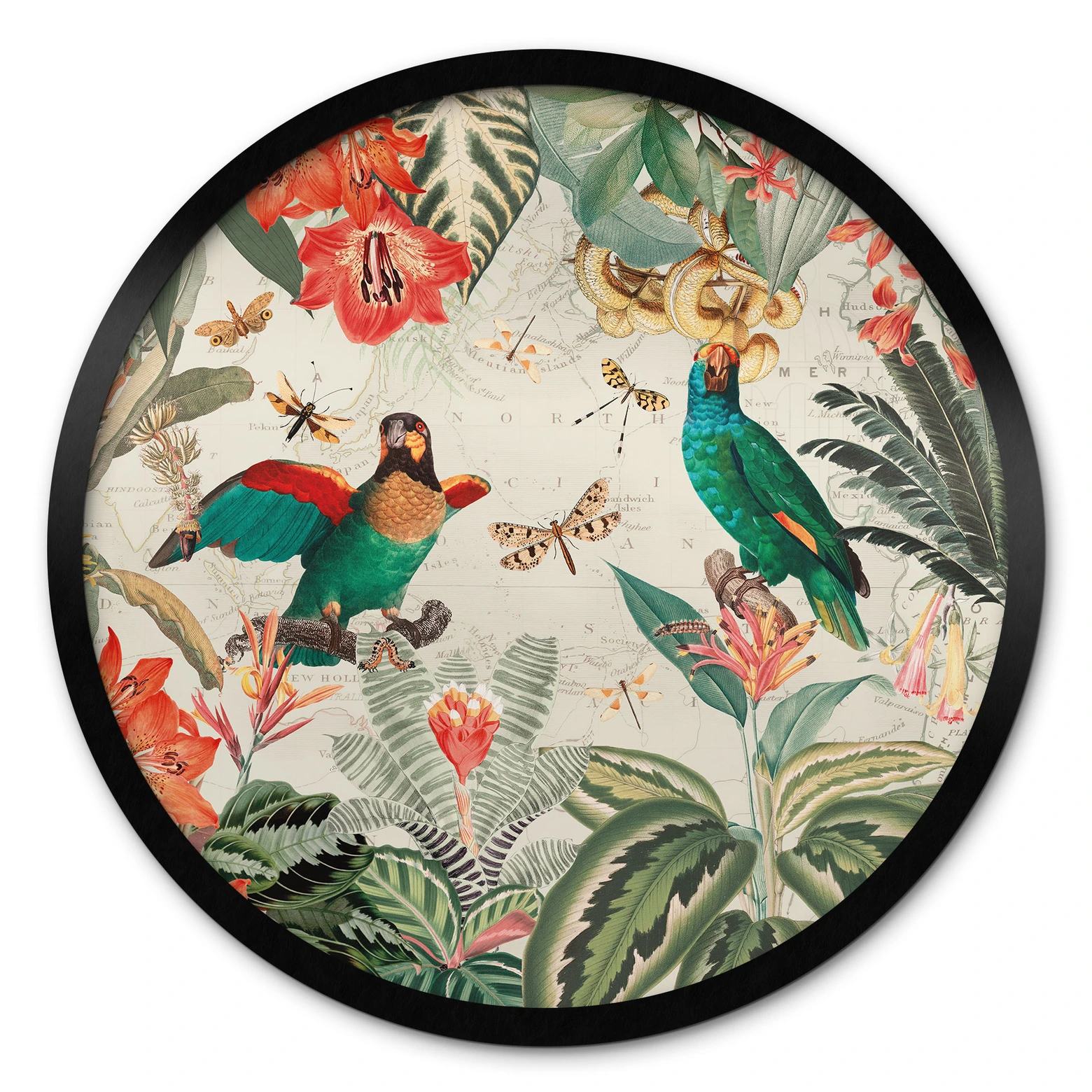 Poster Exotischer Dschungel mit Papageien - UN Designs - Rund | wall-art.de
