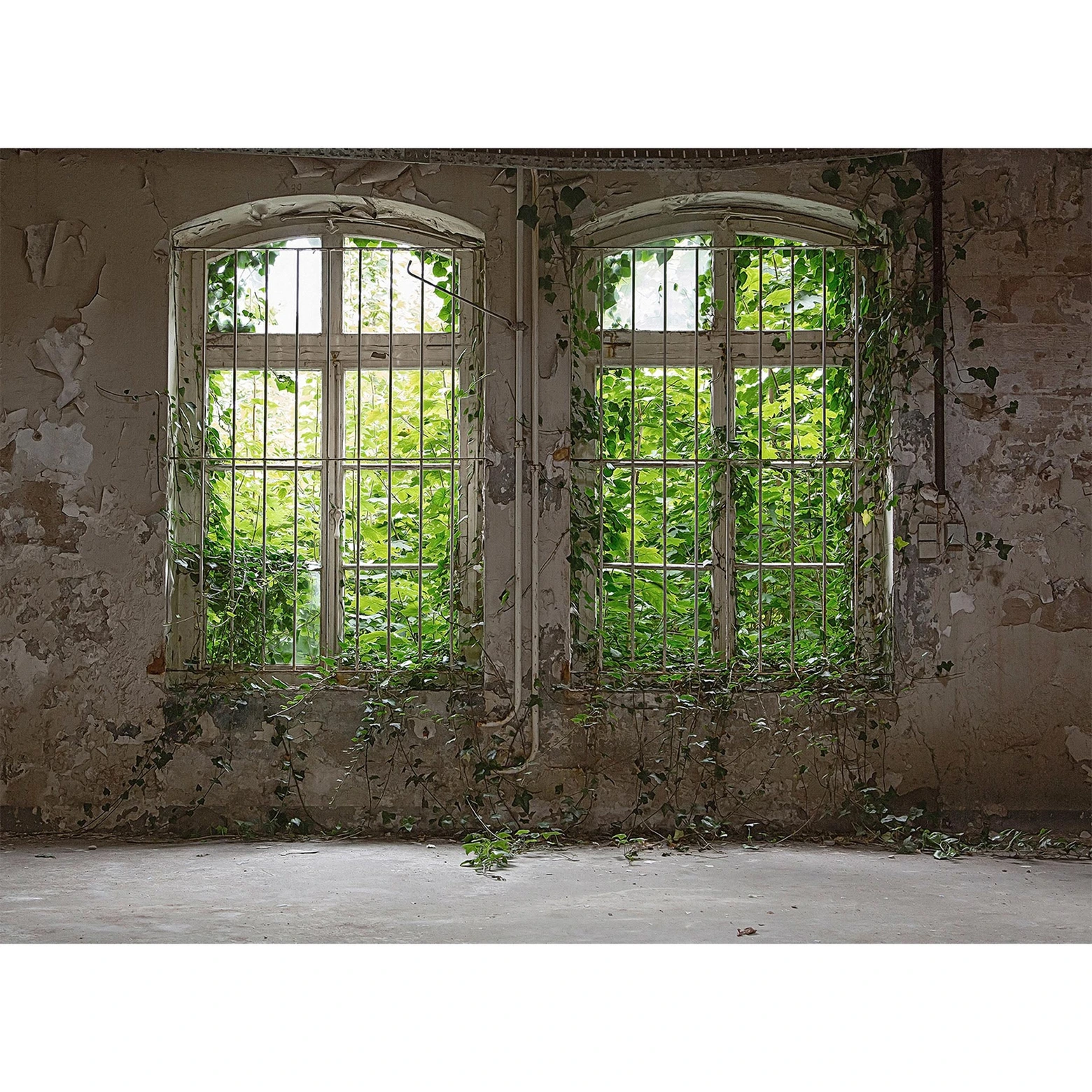 Livingwalls Fototapete Designwalls Old Window Fens | wall-art.de