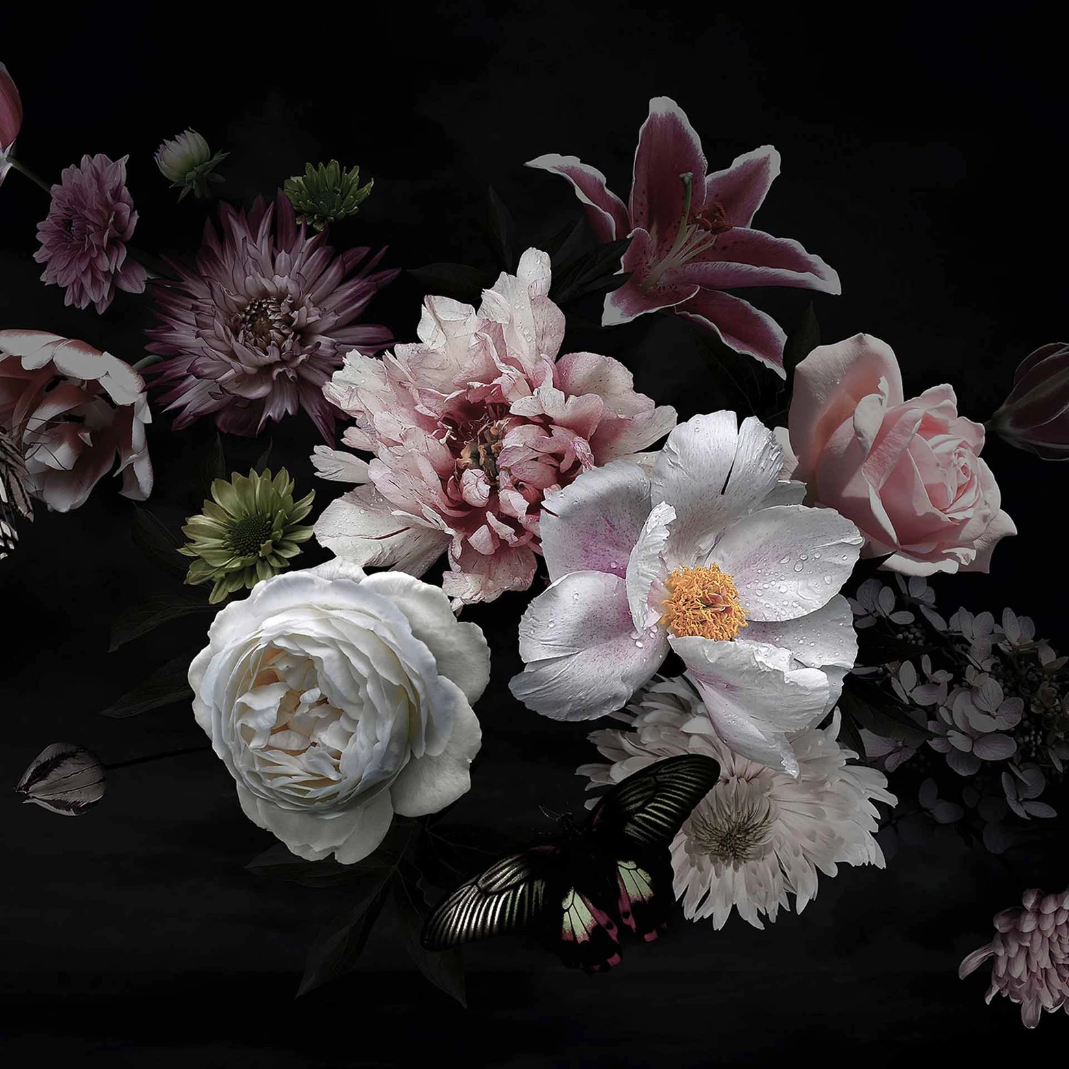 Fototapete Blumen Flowerbouquet in schwarz weiß - Vliestapete ...