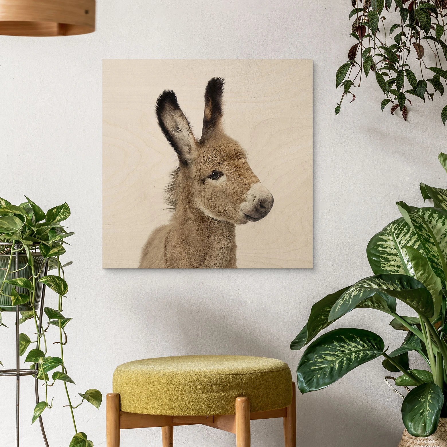 Holzbild Baby Esel - Quadratisch - Sisi & Seb | wall-art.de