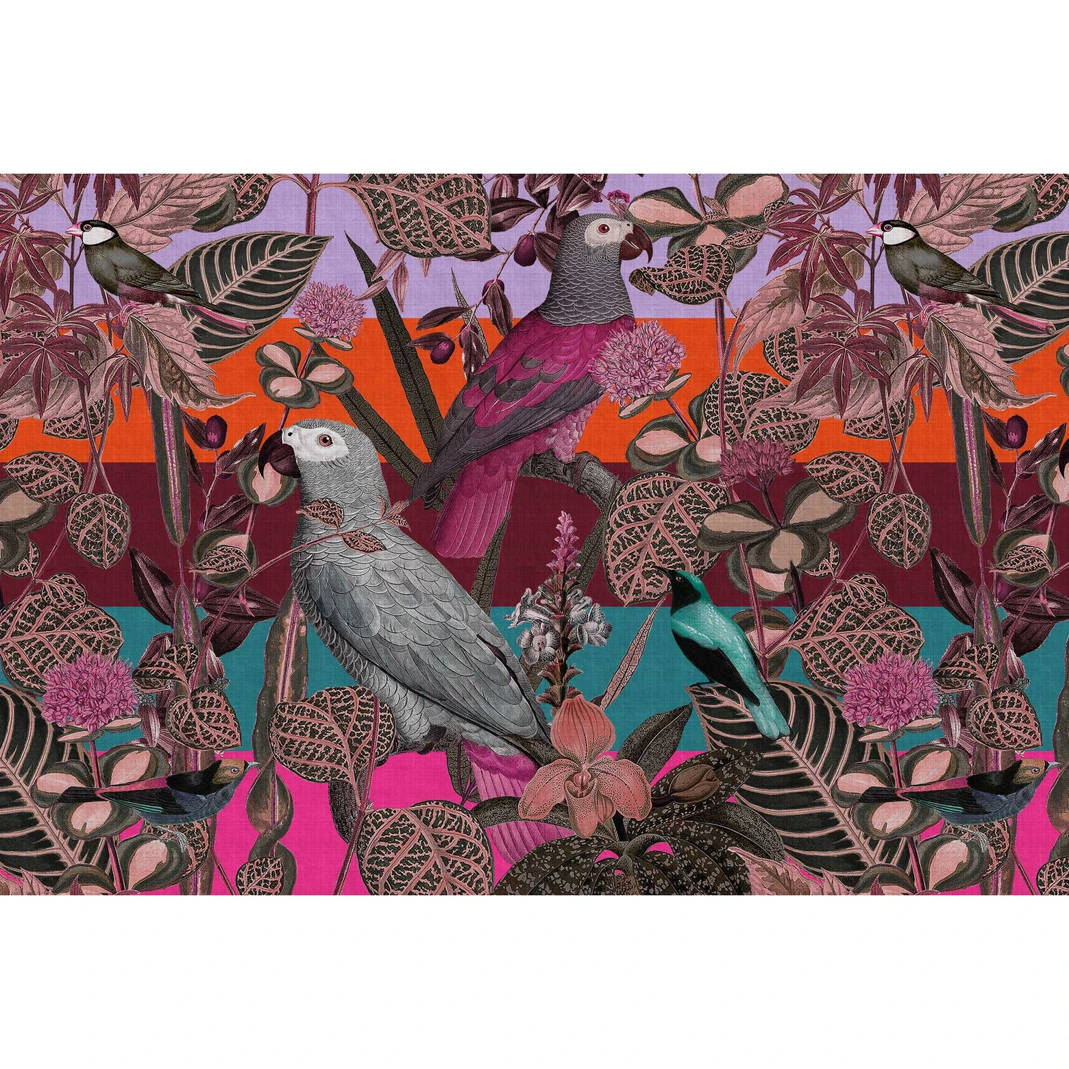 Exotisch papegaai behang - levendige jungle flora op robijnrood | wall ...