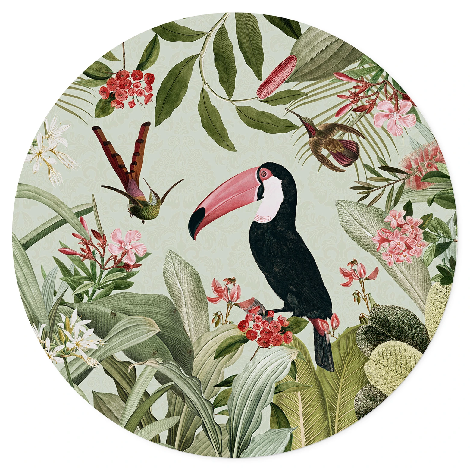 Wandtattoo Tukan im Dschungel-Paradies - UN Designs - Rund | wall-art.de