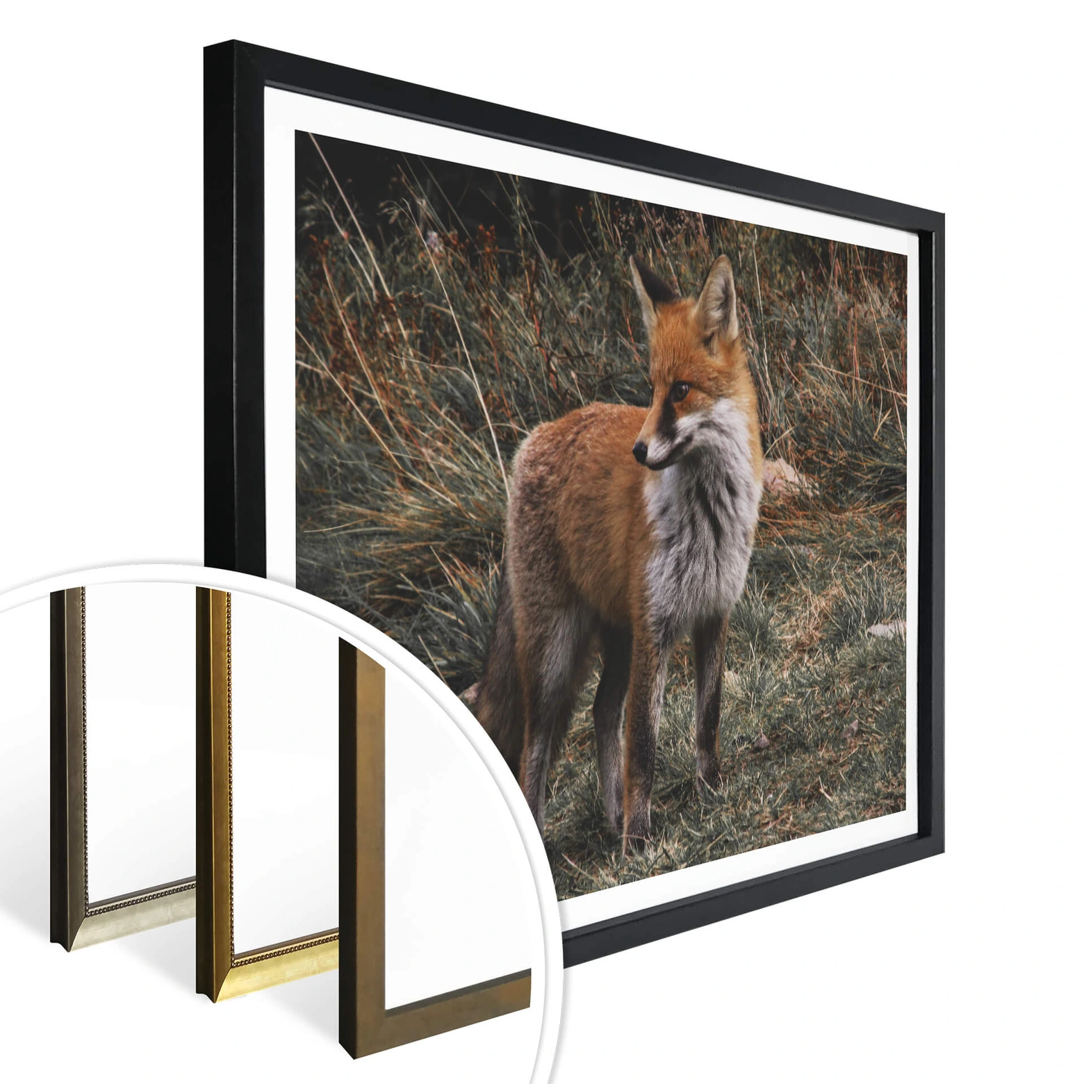 Affiche - Renard 02 | wall-art.fr