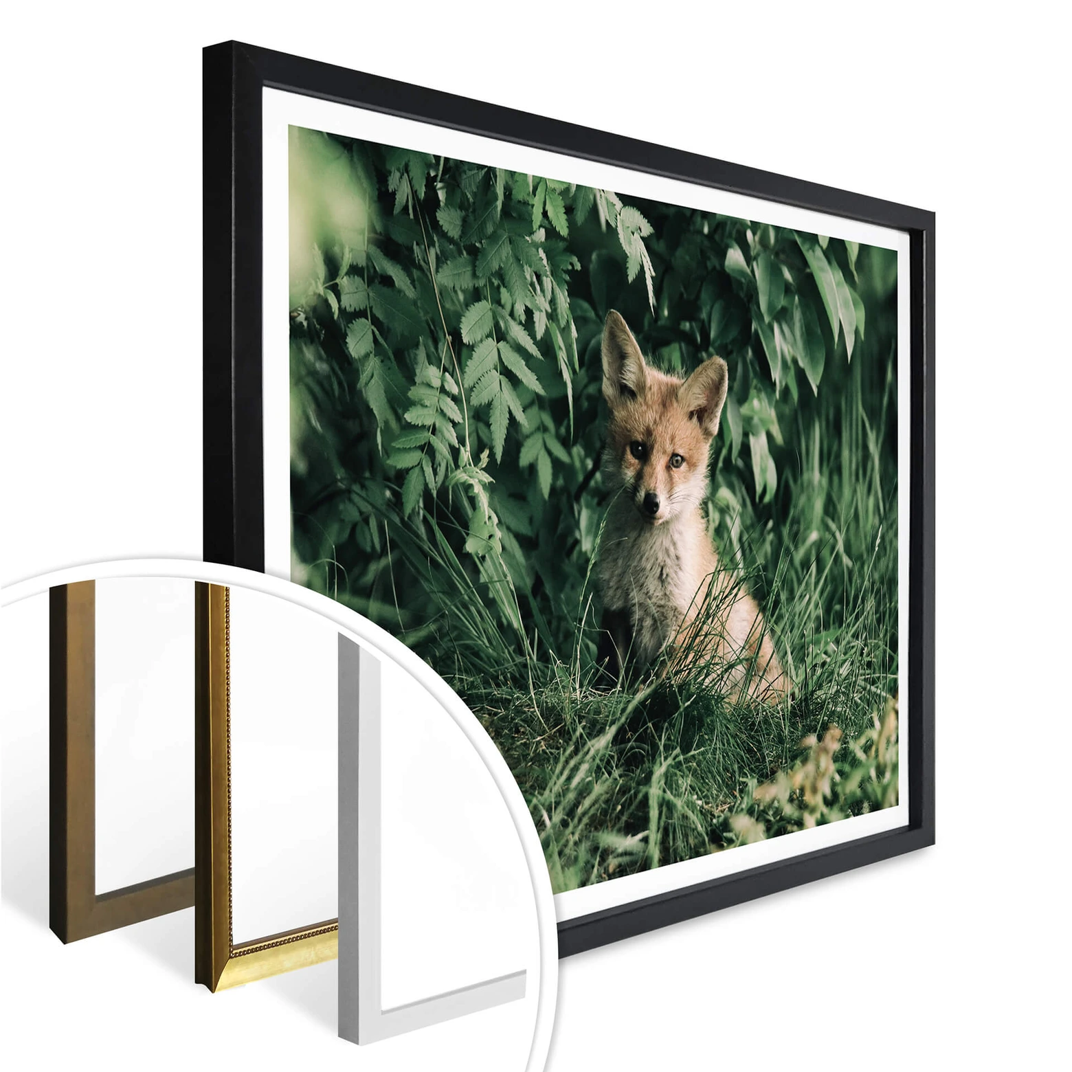 Poster Alone in the Forest | wall-art.de