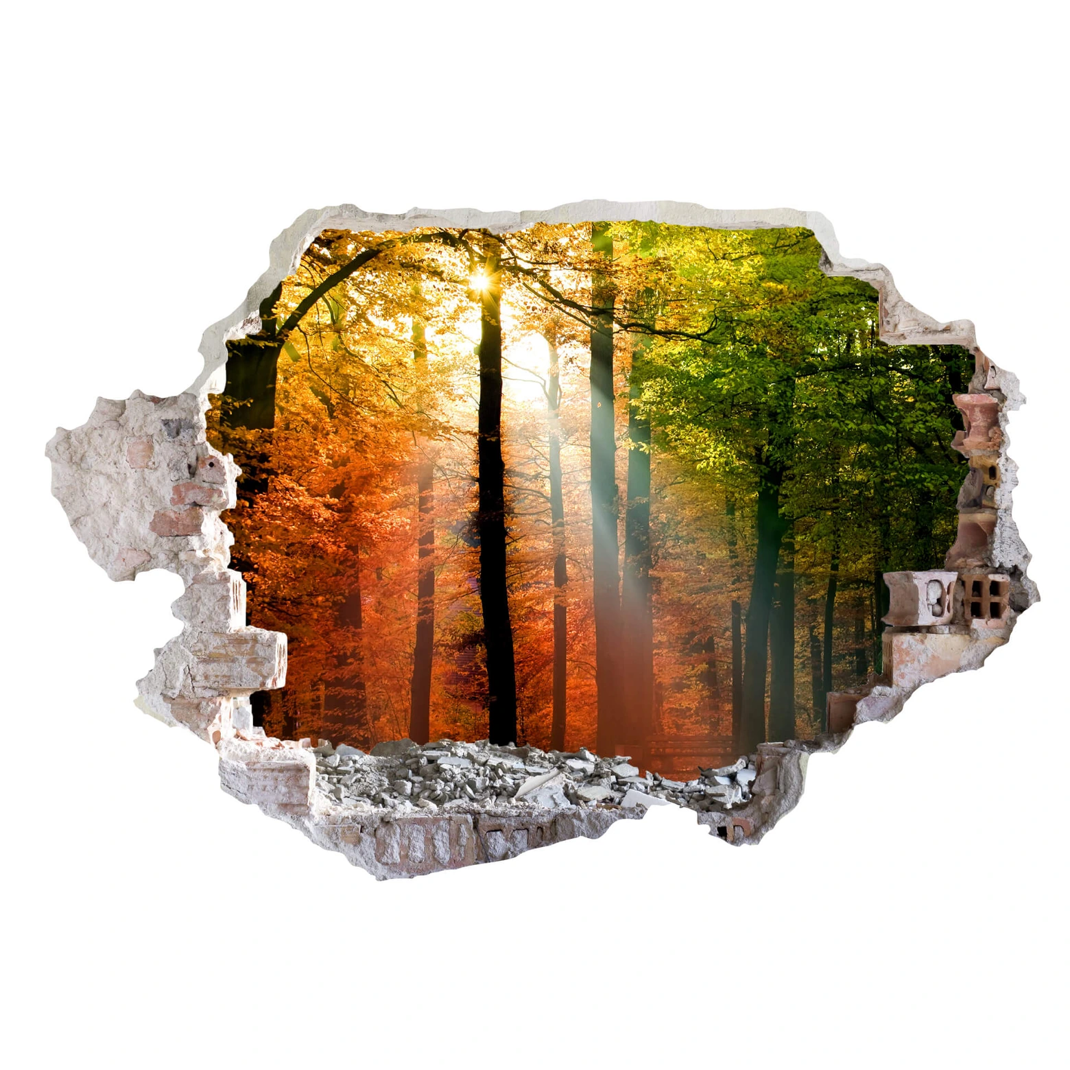 3D Wandtattoo Goldener Herbst | wall-art.de
