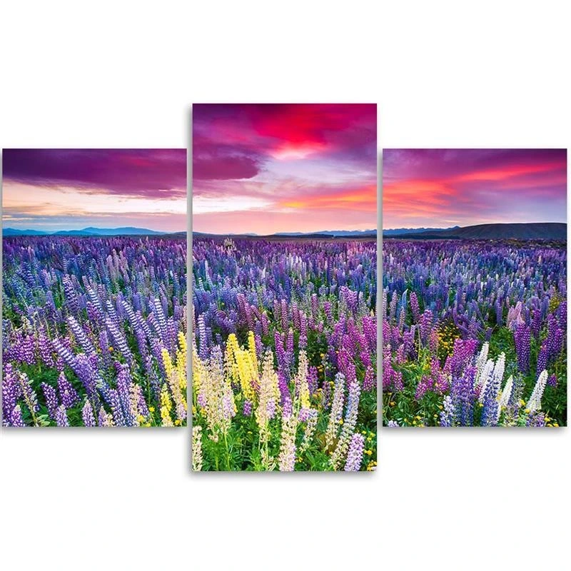 Faszinierend Leinwandbilder 3 Teilig Fotos