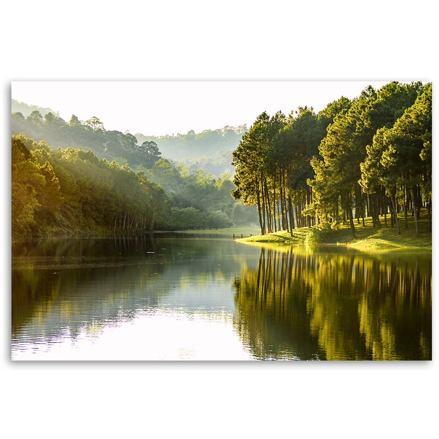 Leinwandbild, Landschaft Waldbaum Natur | wall-art.de