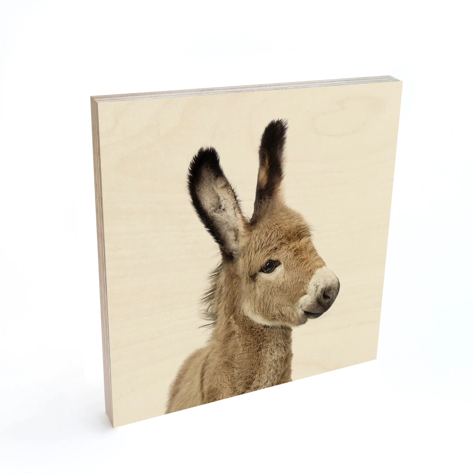 Houten Poster Sisi & Seb - Baby Ezel | wall-art.nl