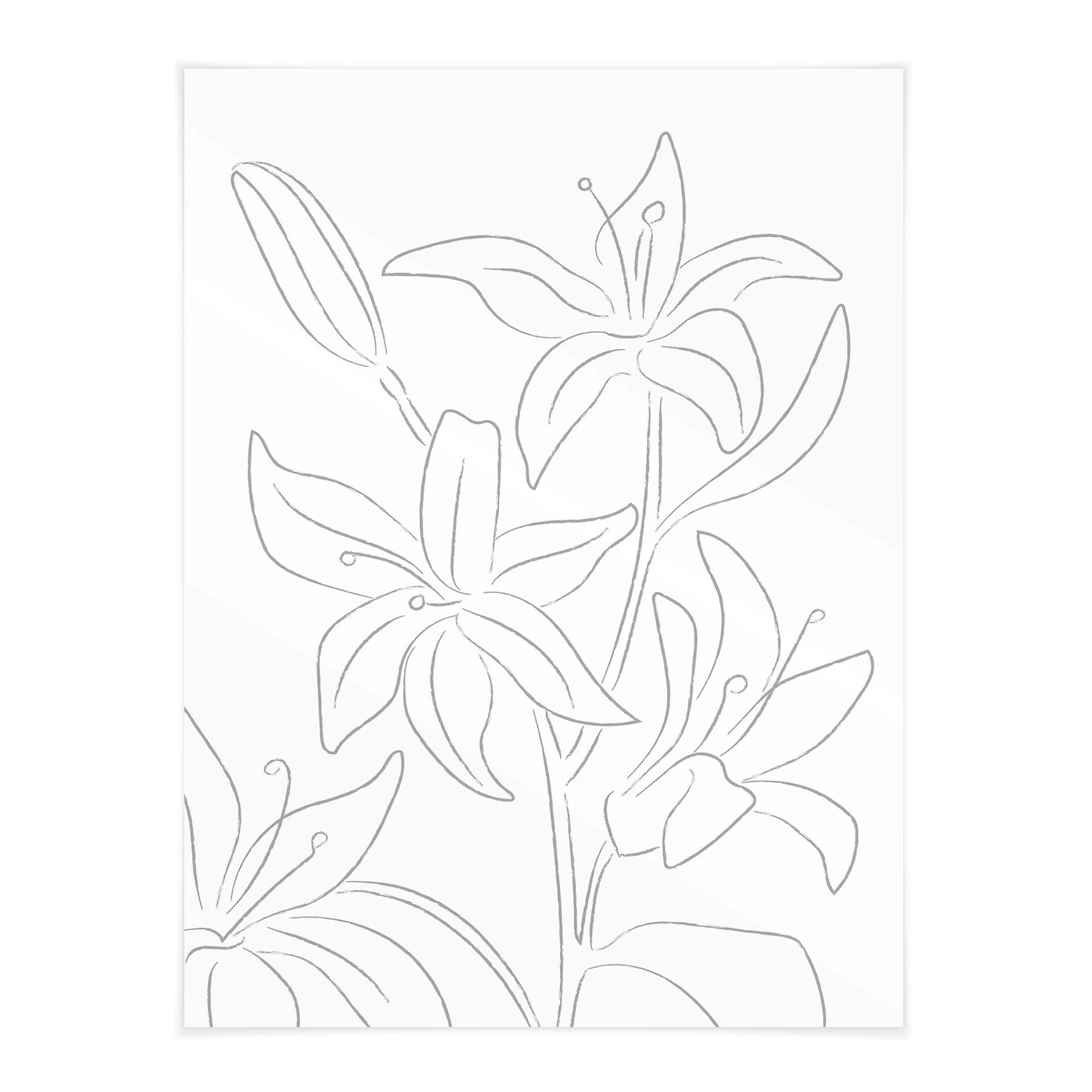 Poster 1X Studio - Line Art Floral - Minimalistische Blumen | wall-art.de
