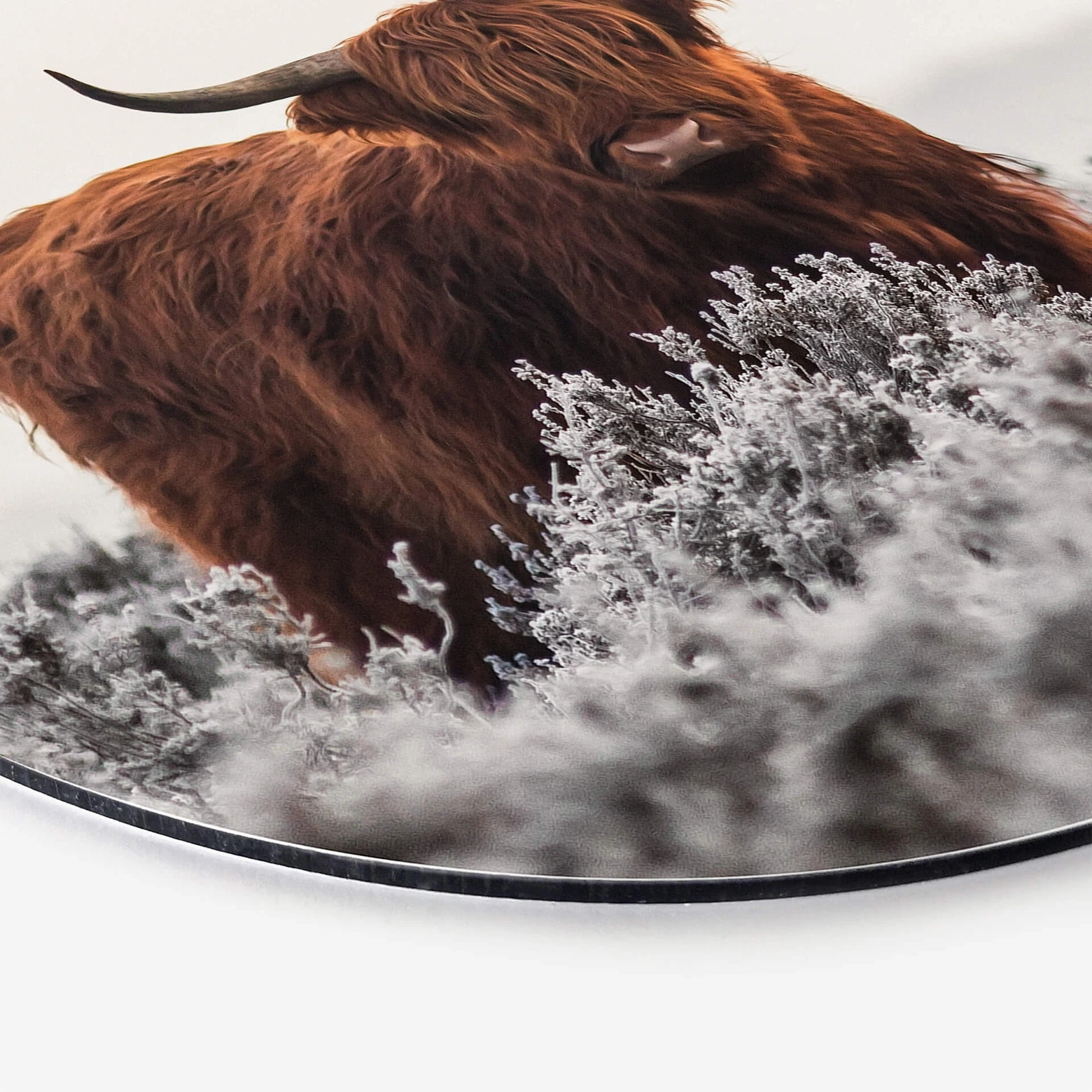Wandbild van den Helm - Highlander - Alu-Dibond Rund | wall-art.de