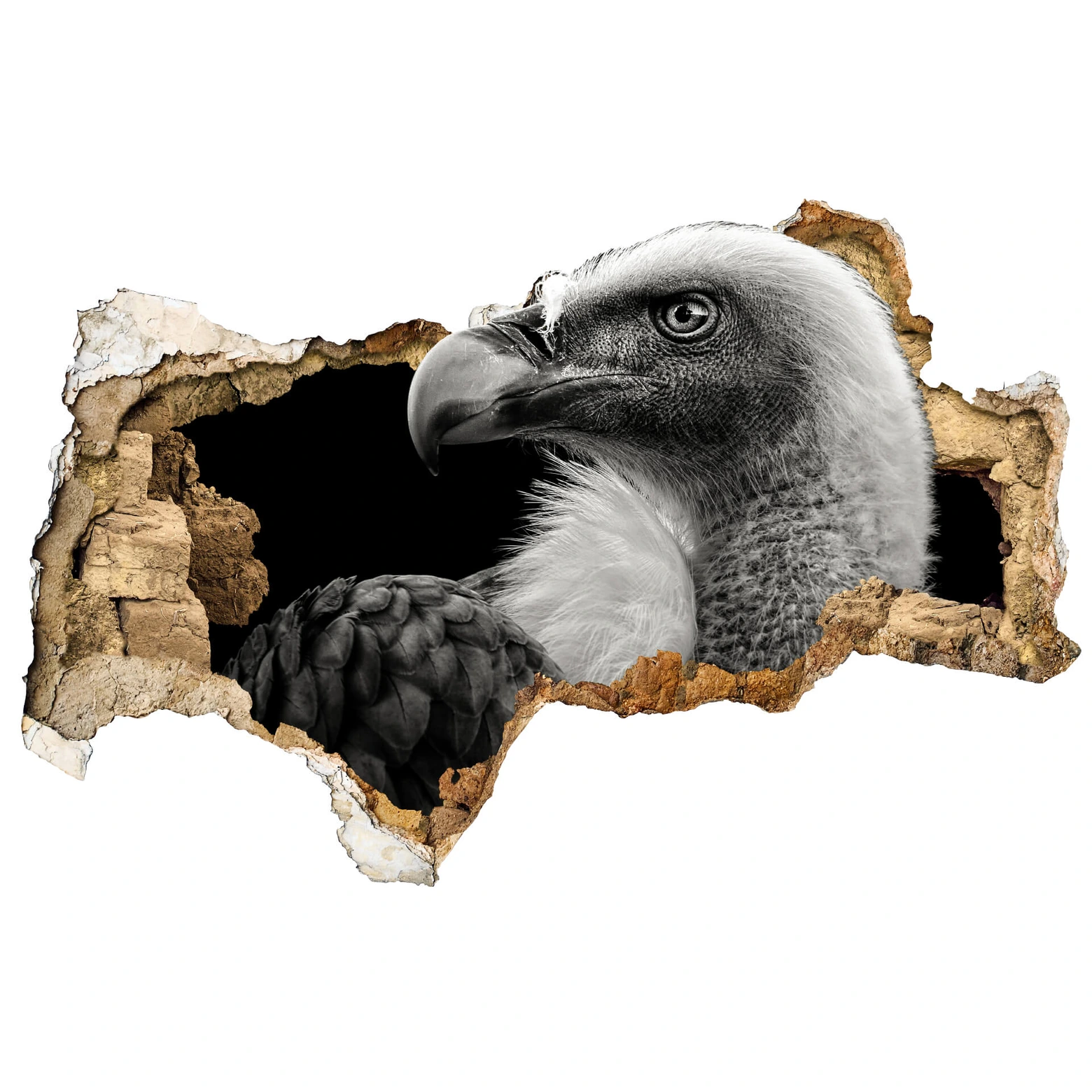 3D Muursticker Meermann - Gier | wall-art.nl