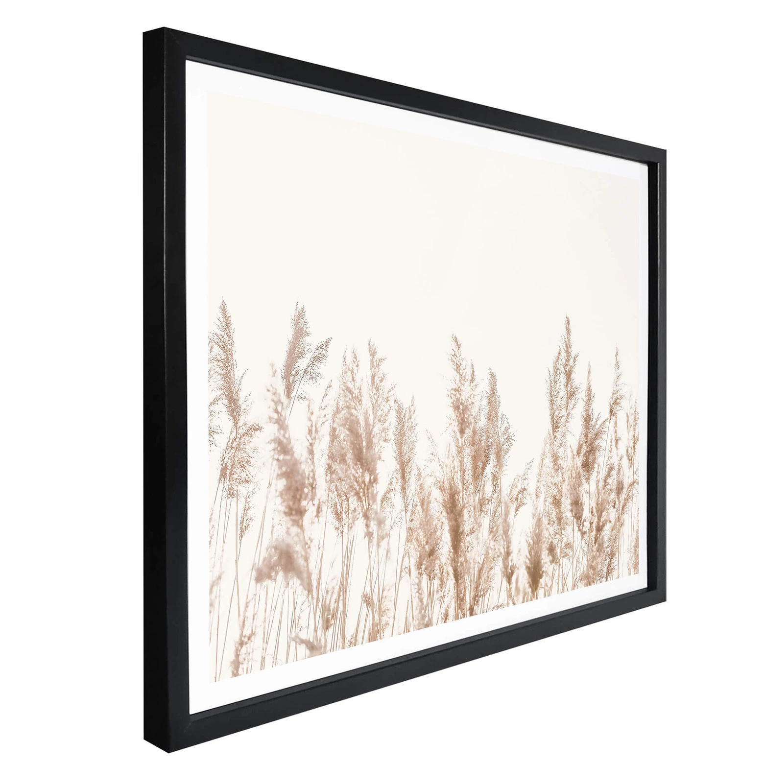 Poster Roseau | wall-art.fr