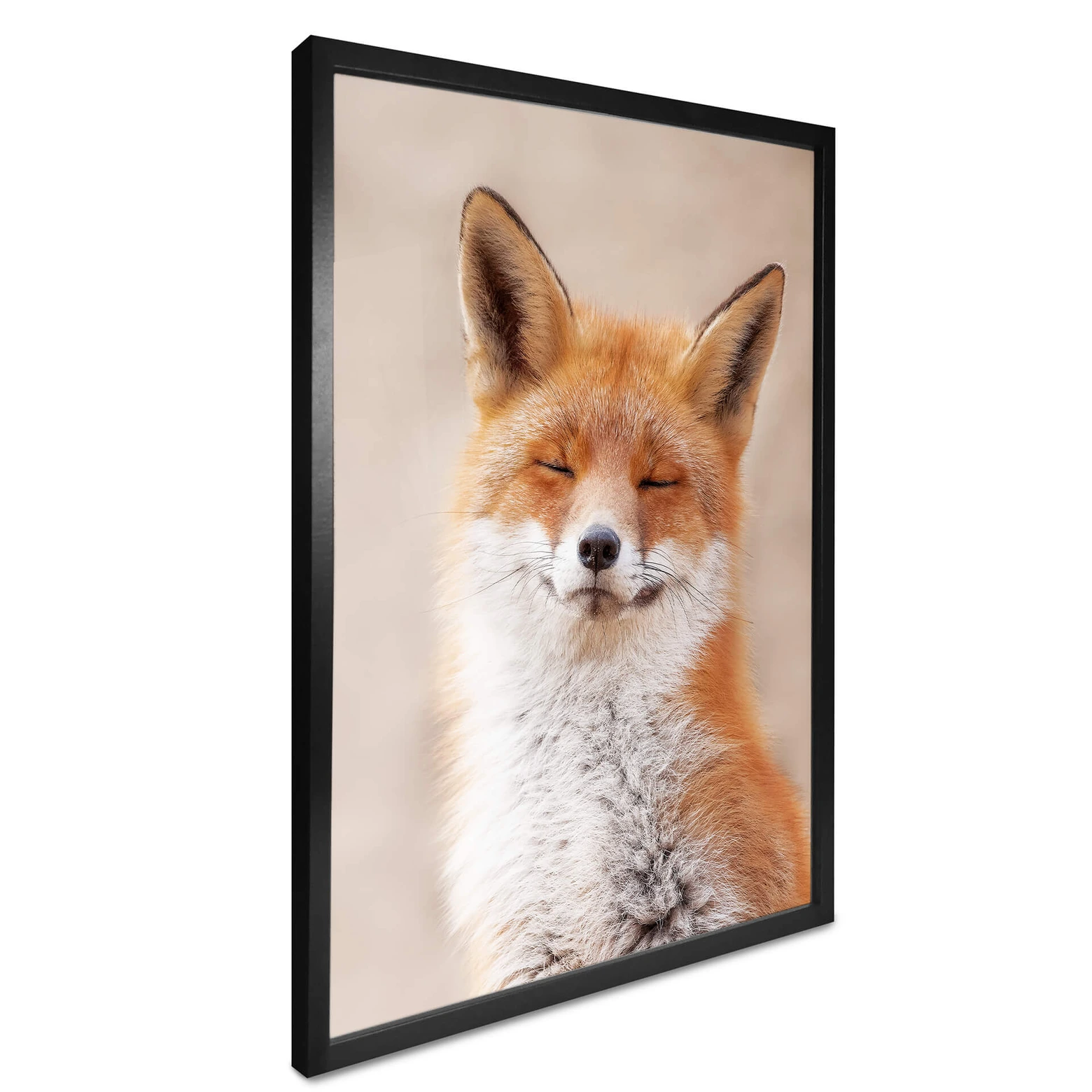 Poster van Duijn - Renard content | wall-art.fr