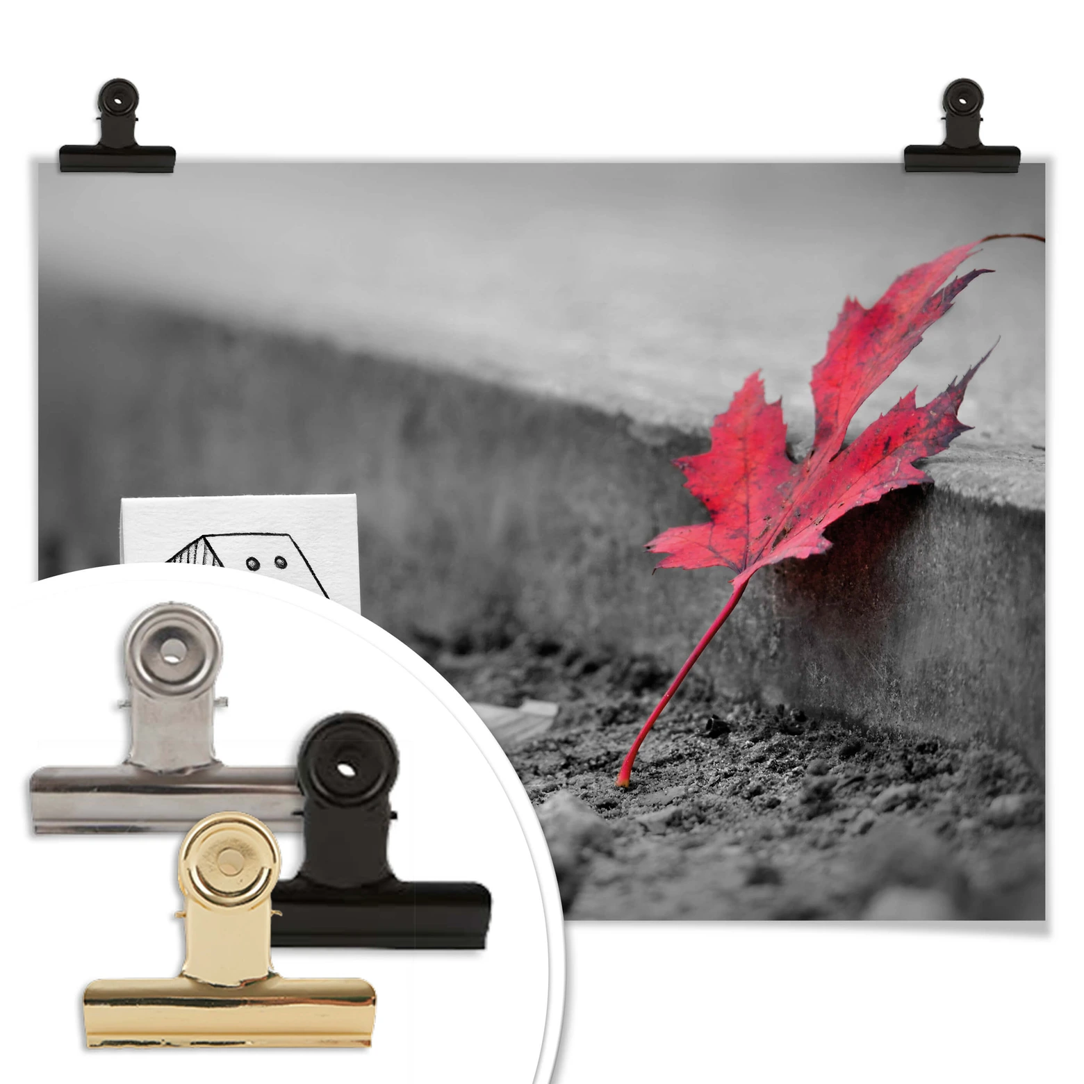 Poster Heine - Stift vs. Kamera - Das rote Blatt | wall-art.de