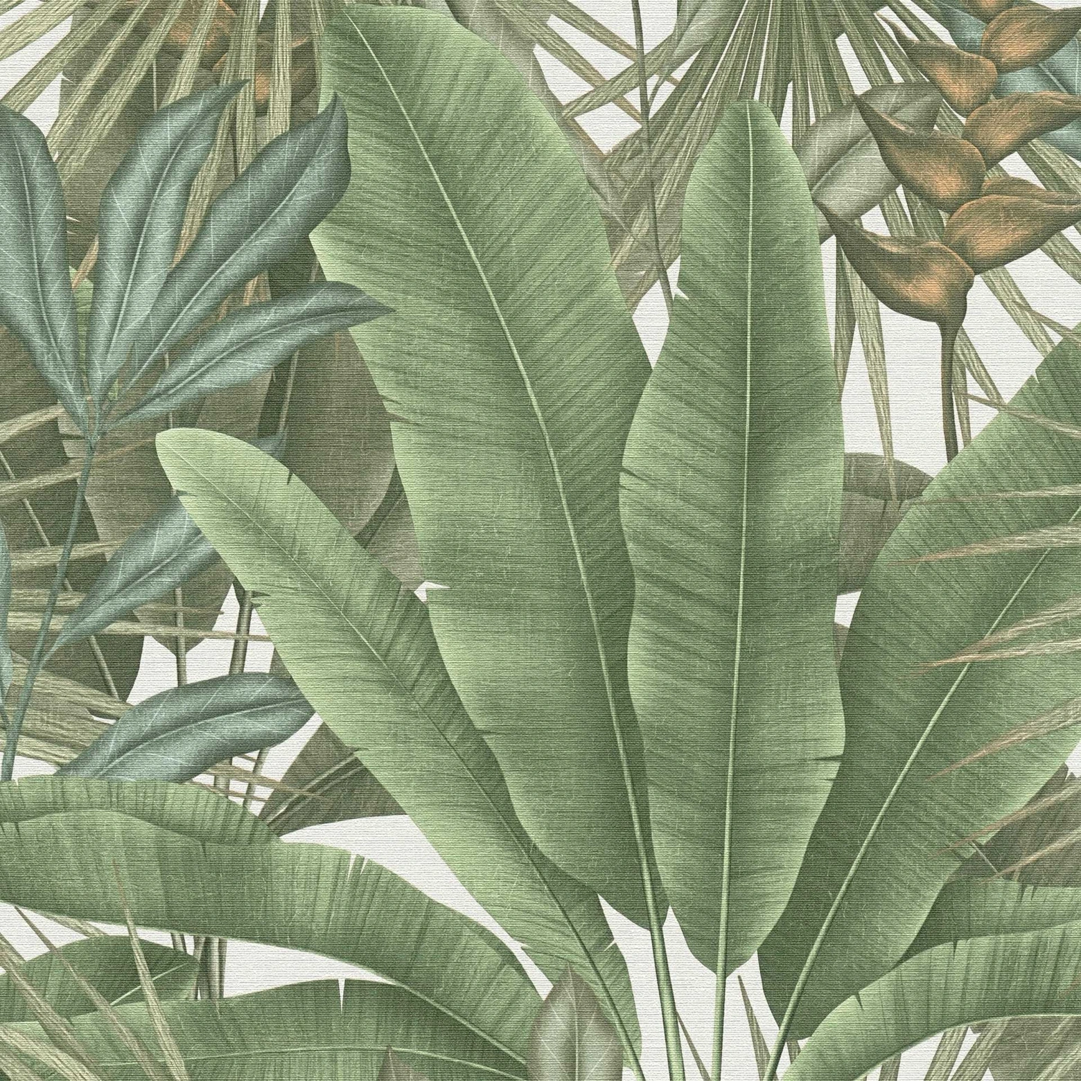 Tropical leaf wallpaper in pastel green - non-woven wallpaper with ...