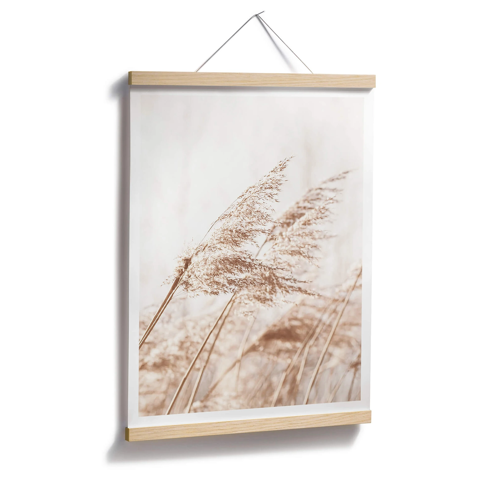 Poster Gräser im Wind | wall-art.de