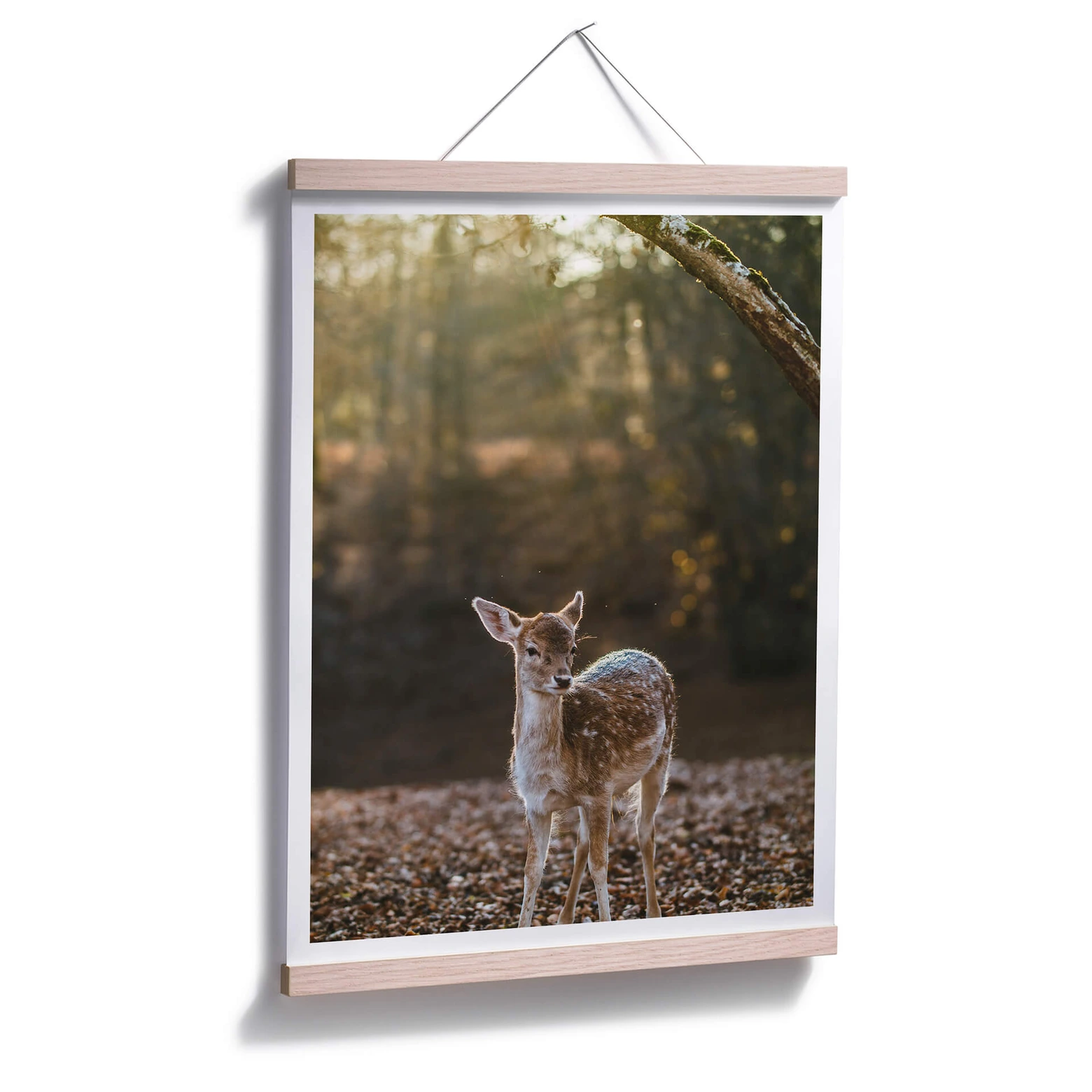 Poster Fawn | wall-art.de