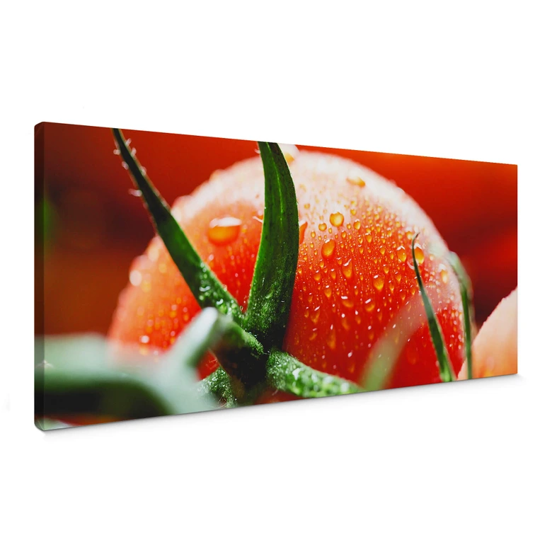 Leinwandbild Fresh Tomato - Panorama | wall-art.de
