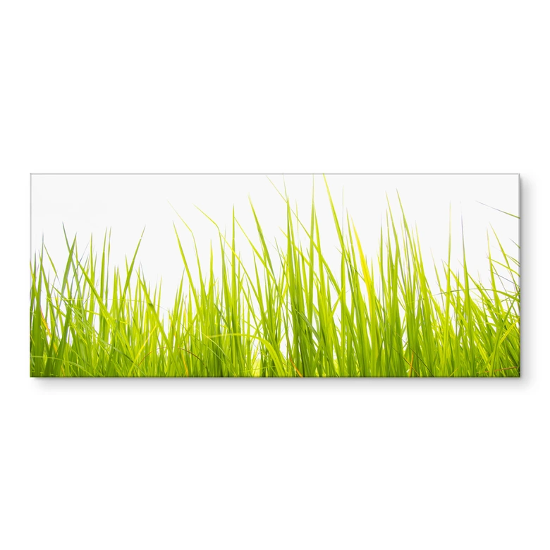 Keukenachterwand Hoog Gras | wall-art.nl