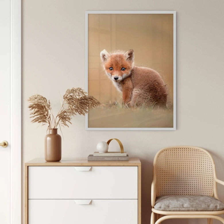 Poster van Duijn - Baby Fuchs | wall-art.de
