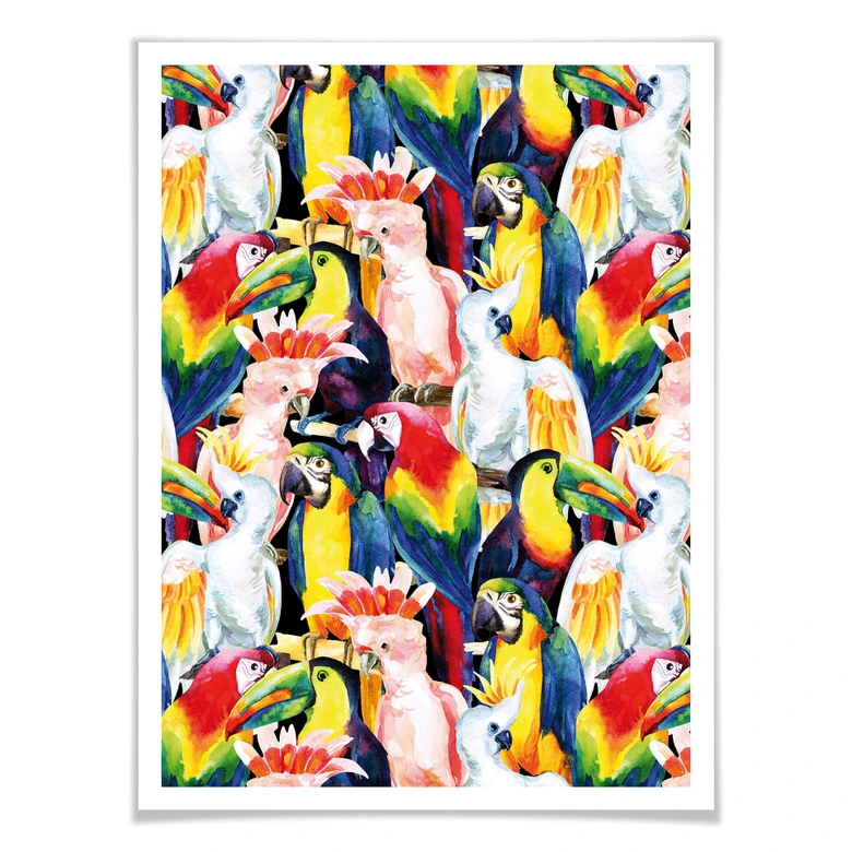 Poster Tropical Birds | wall-art.nl