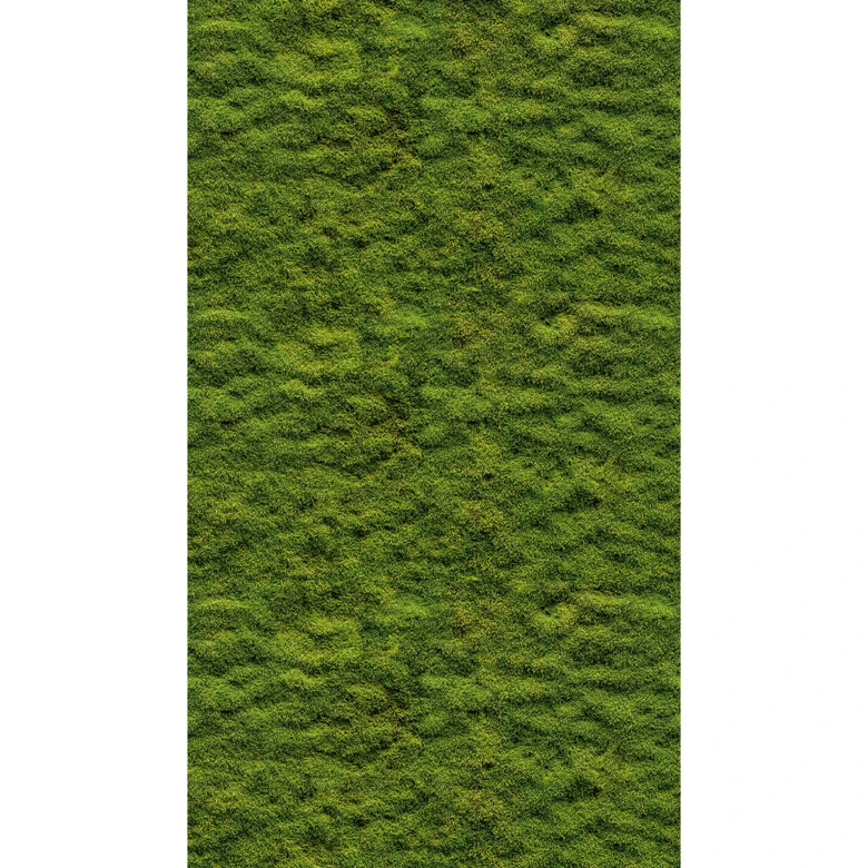 Moos-Fototapete in Grün - Vliestapete Natur-Optik - Wohnzimmer Tapete ...