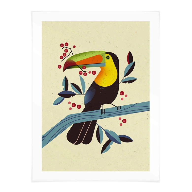 Plakat Braun - Tukan | wall-art.dk