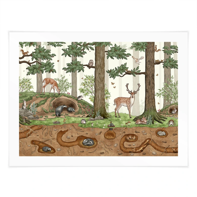 Poster for the children's room - Hidden object forest animals - Kikki ...