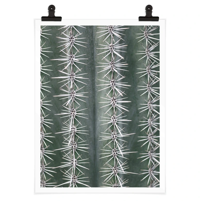 Poster 1X Studio - Kaktus | wall-art.de