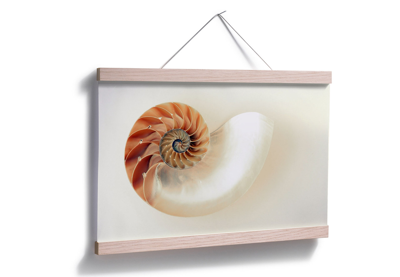Poster Nautilus | wall-art.com