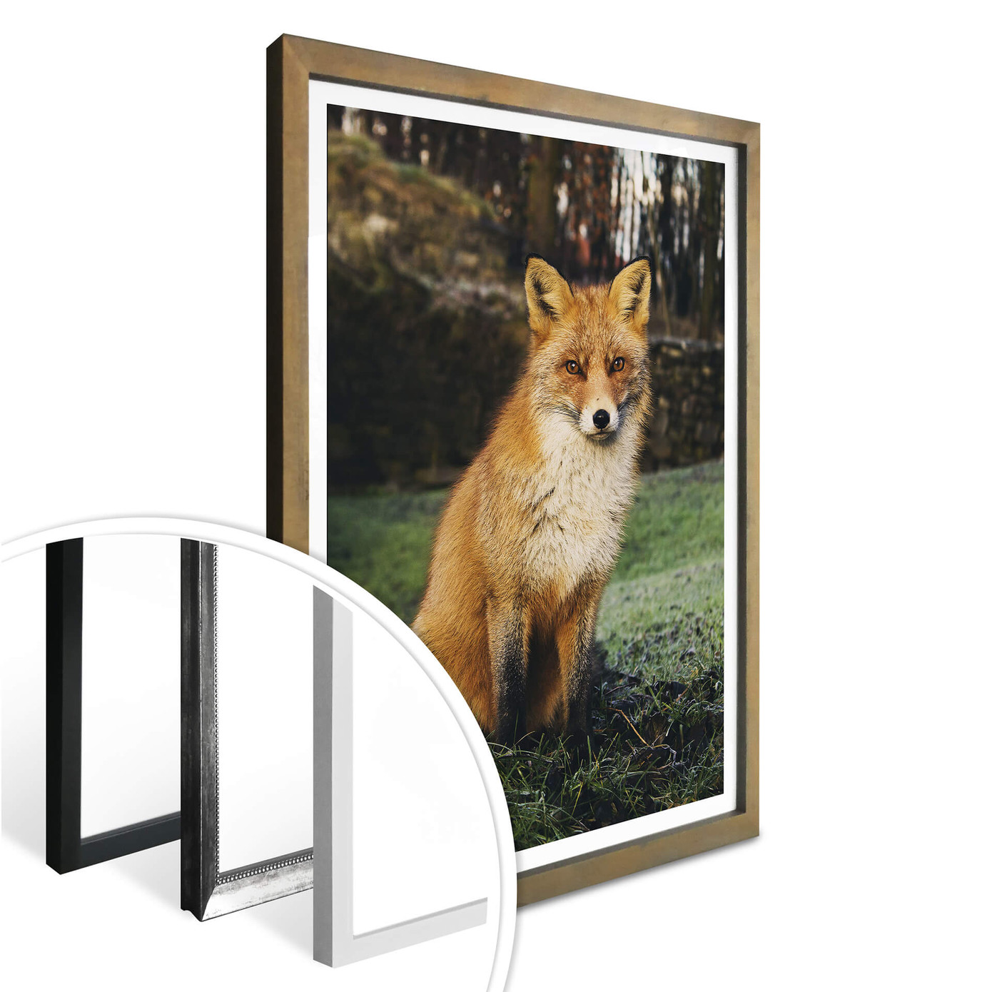 Poster - Renard 01 | wall-art.fr