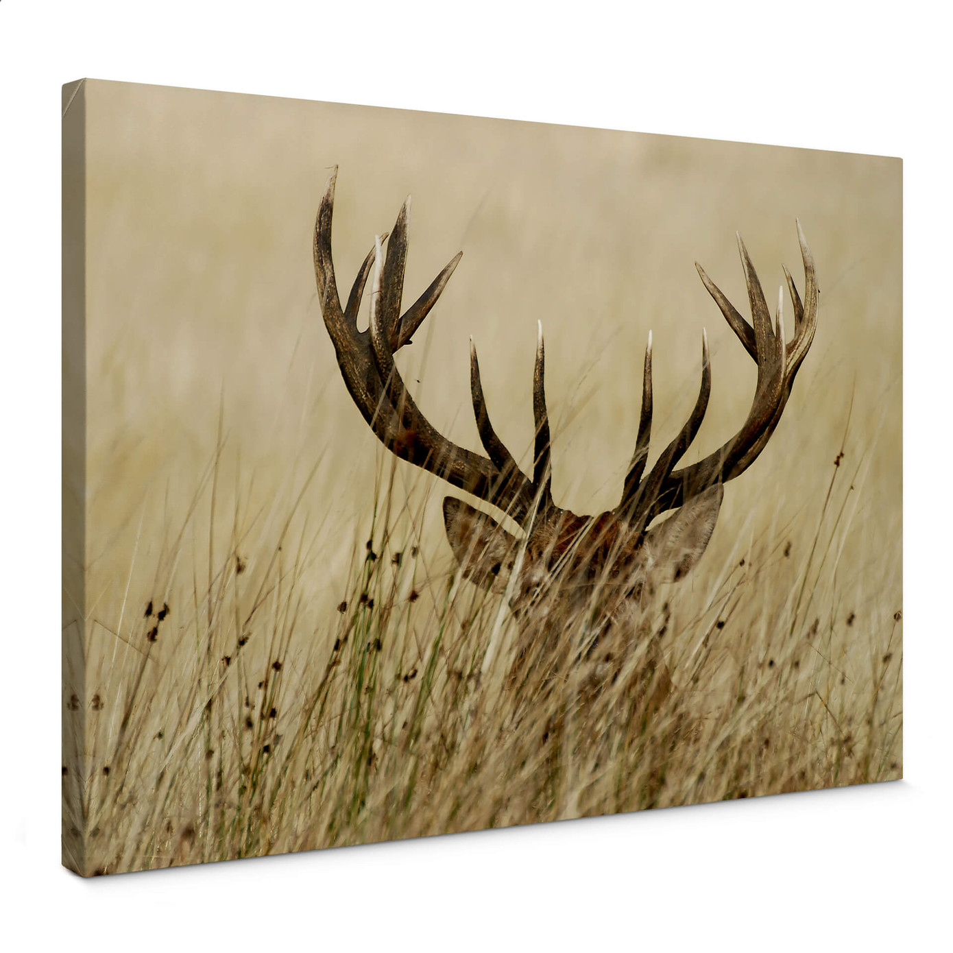 Canvas Waakzaam Hert | wall-art.nl