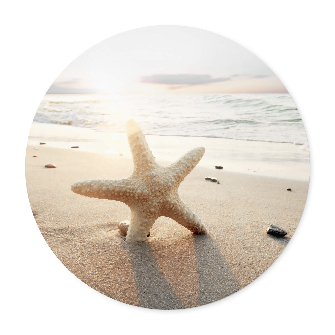 Poster Funkelnder Seestern am einsamen Strand - Rund | wall-art.de