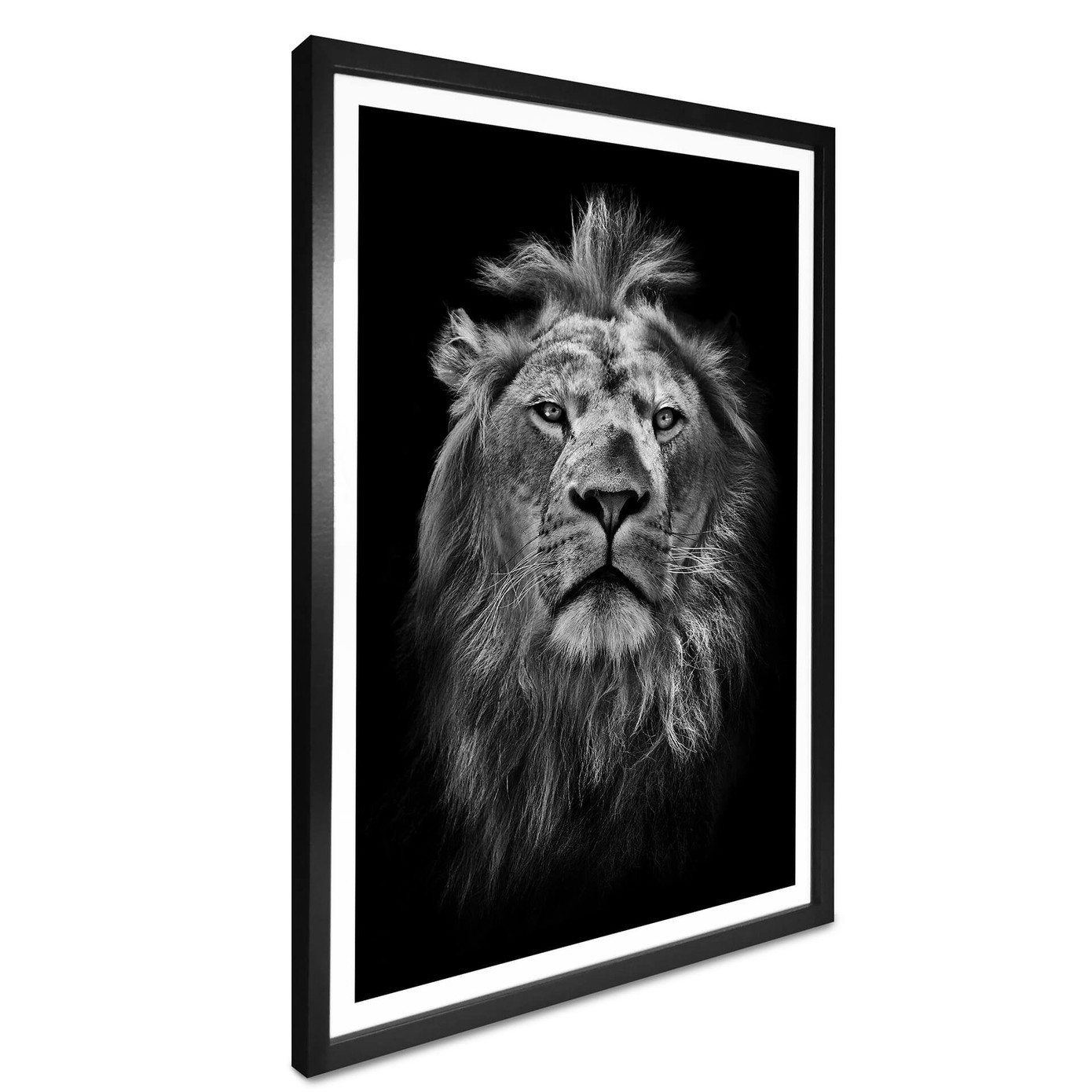 Poster Leeuw | wall-art.nl