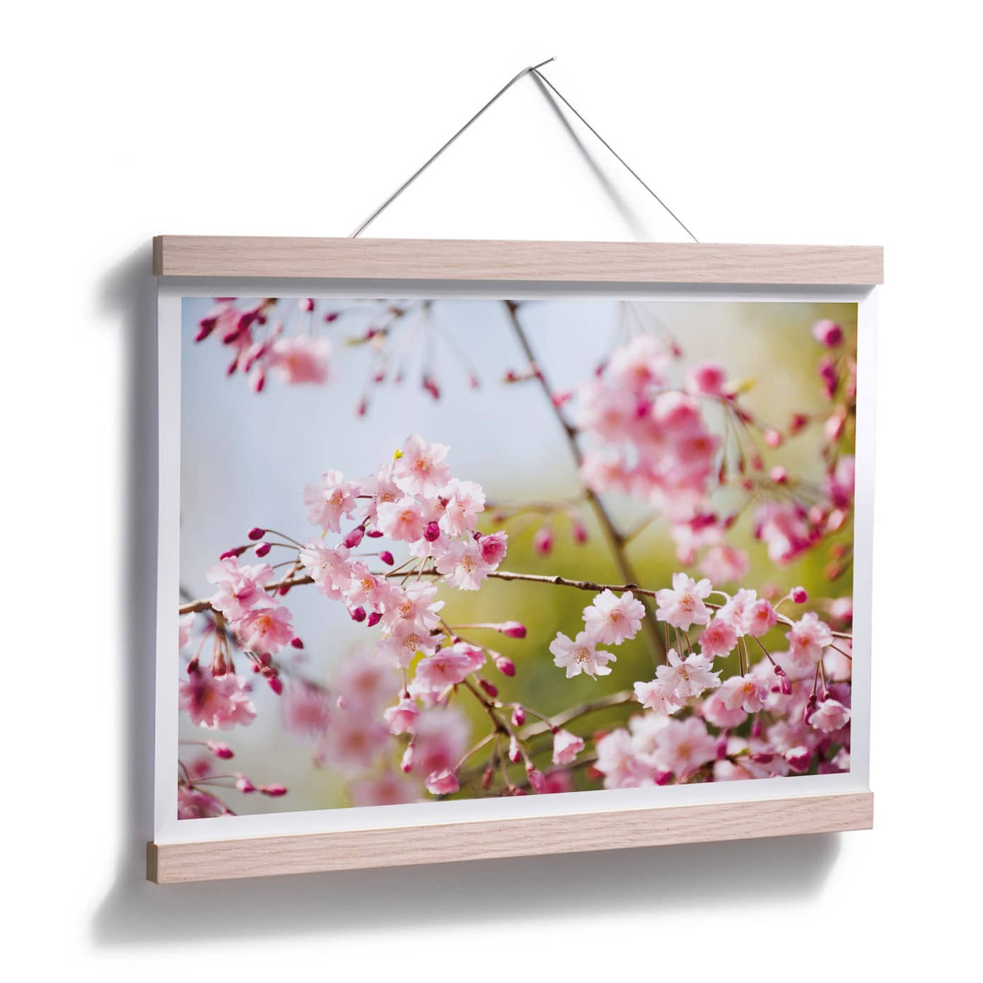 Poster Kersenbloesem | wall-art.nl